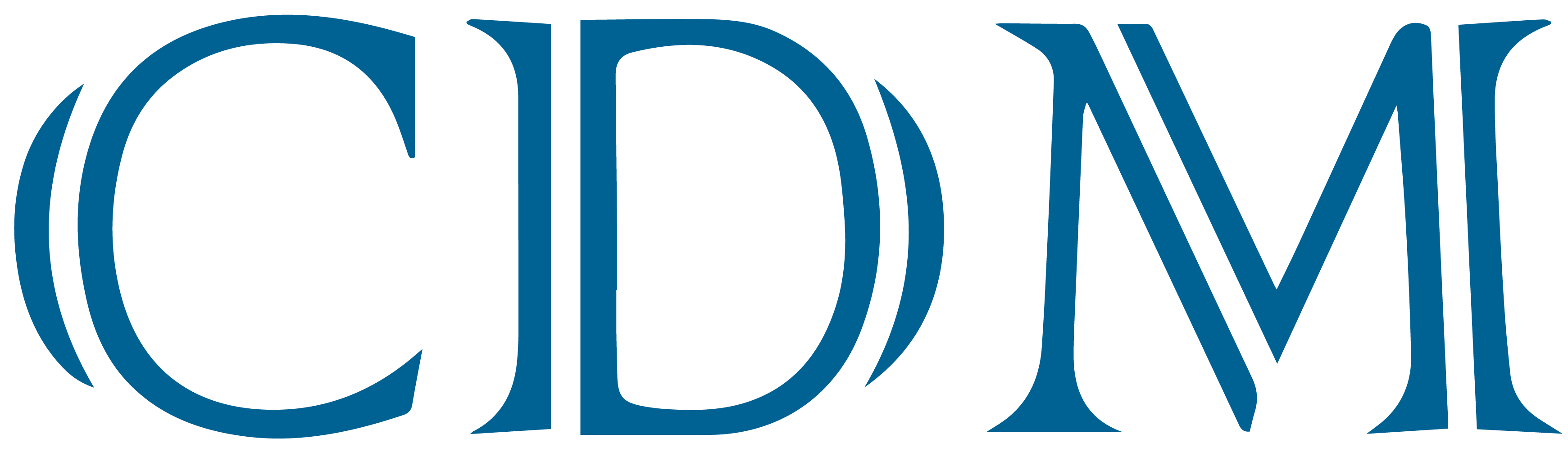 CDM::CONTROL DESIGN MANAGEMENT